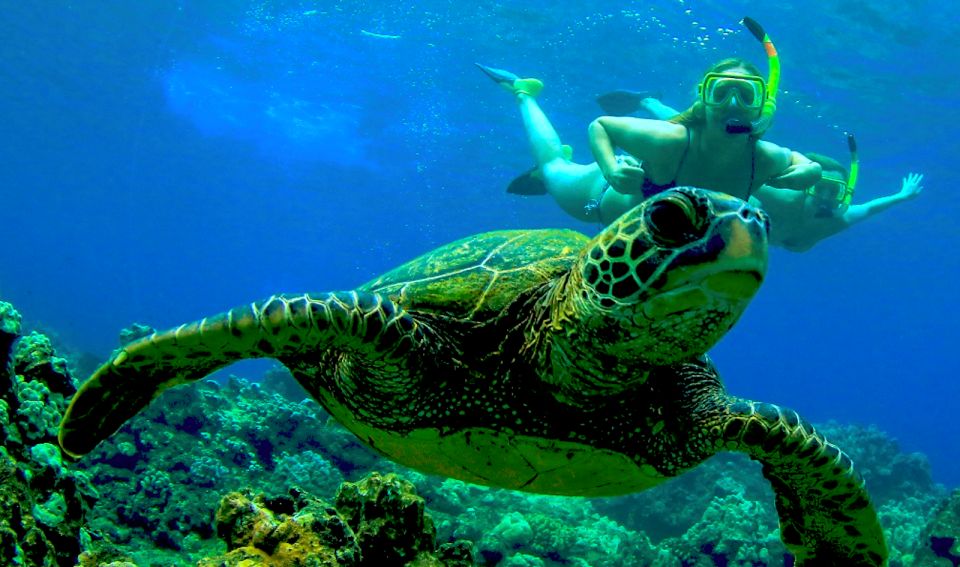 Maui: Kaanapali Beach 5-hr Snorkel w/ BBQ Lunch & Open Bar - An In-Depth Look at the Maui Snorkel Tour