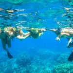 Maui: Kaanapali Beach 5-hr Snorkel w/ BBQ Lunch & Open Bar - Who Should Book This Tour?