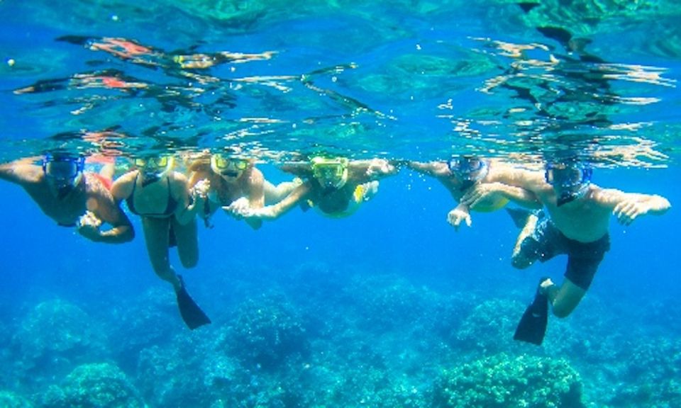 Maui: Kaanapali Beach 5-hr Snorkel w/ BBQ Lunch & Open Bar - Who Should Book This Tour?