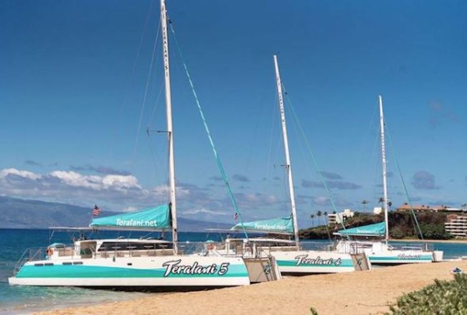 Maui: Kaanapali Dolphin Watching Boat Trip with Lunch - Introduction: A Dolphin Adventure in Maui