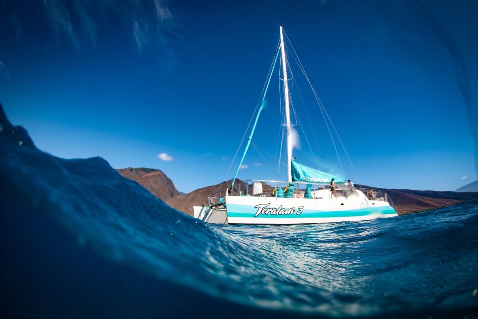 Maui: Kaanapali Dolphin Watching Boat Trip with Lunch - Practical Tips for Your Trip  