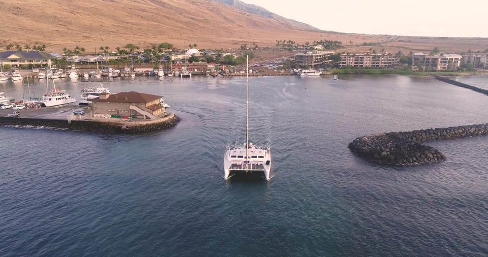 Maui: Luxury Catamaran Alii Kai Royal Sunset Dinner Cruise - An Authentic Sunset Sail in Maui  