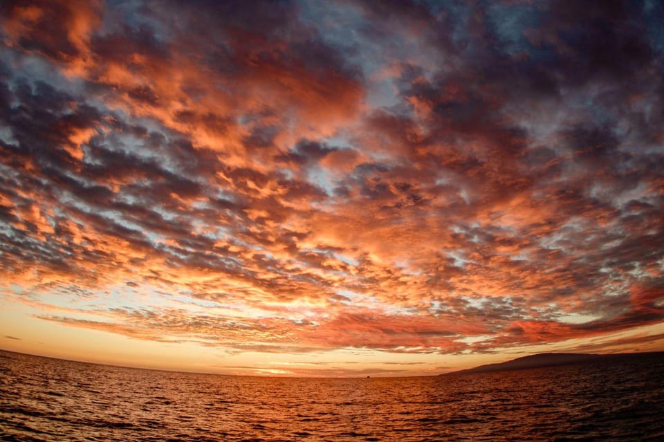 Maui: Luxury Catamaran Alii Kai Royal Sunset Dinner Cruise - The Sum Up  