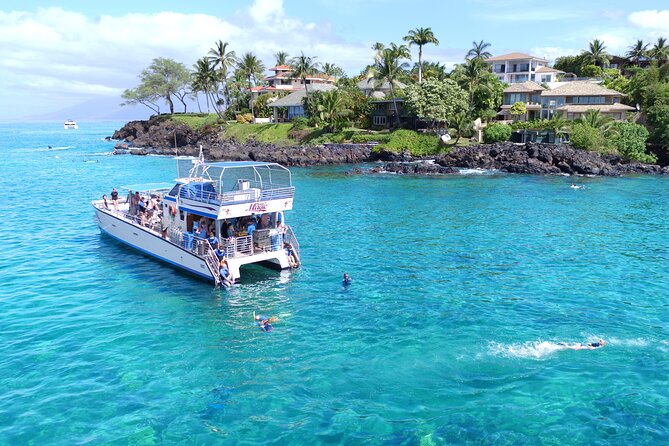 Maui Magic Adventure Snorkel: Molokini Crater and Turtle Stop - Final Thoughts: Is This Tour for You?