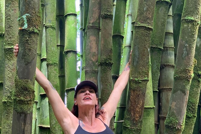 Maui Magical Waterfall and Jungle Tour: Road to Hana - Who Should Consider This Tour?