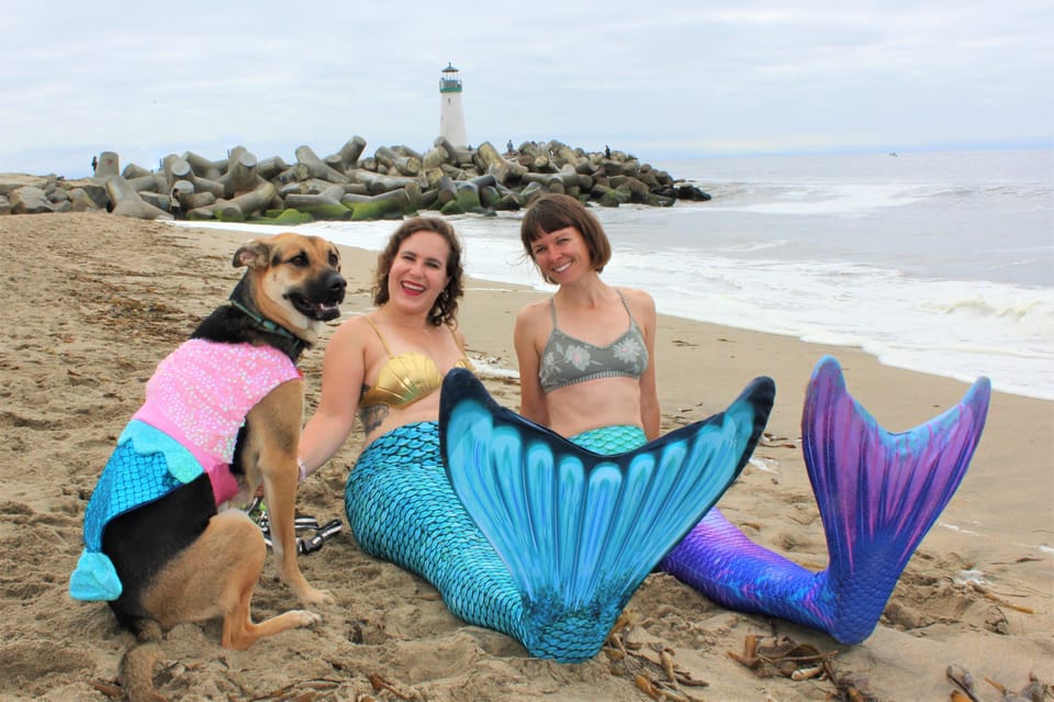 Maui: Mermaid Experience & Photoshoot - Final Thoughts: Is It Worth It?