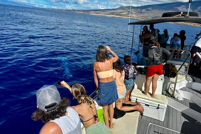 Maui Mid Day Magic Whale Watch - The Itinerary: What You Can Expect