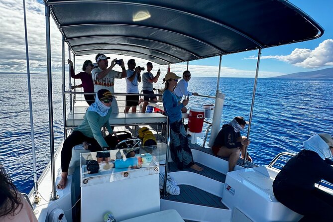 Maui Mid Day Magic Whale Watch - Final Takeaways for Prospective Travelers