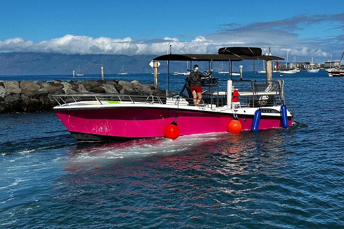 Maui Mid Day Magic Whale Watch - Final Thoughts