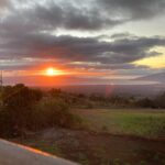 Maui Paint and Sip at Maui Bird House - An In-Depth Look at Maui’s Paint and Sip Experience