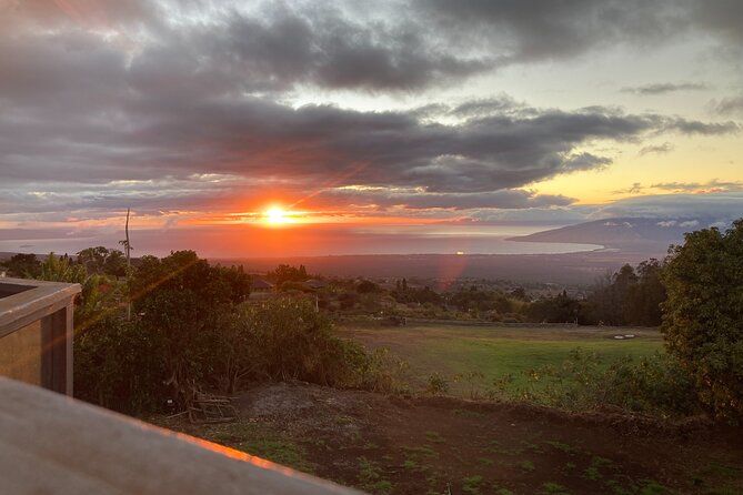 Maui Paint and Sip at Maui Bird House - An In-Depth Look at Maui’s Paint and Sip Experience