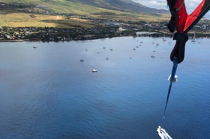 Maui Parasailing Experience from Ka'anapali - Who Will Love This Tour?