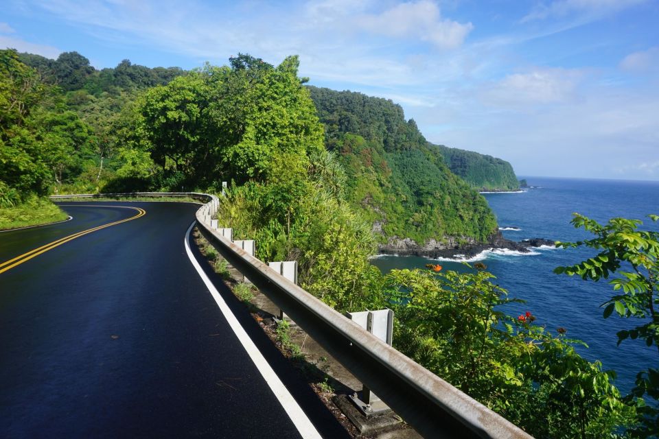 Maui: Private Guided Halfway to Hana Tour - Who Should Consider This Tour?