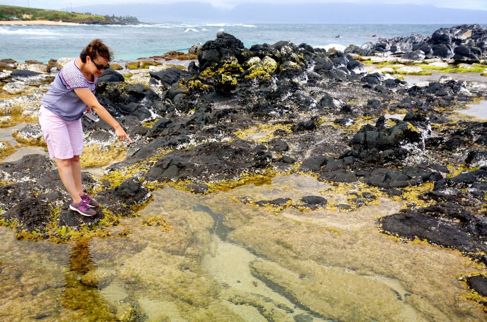 Maui: Private Guided Round-Trip Excursion to Hana - Why Choose This Tour?