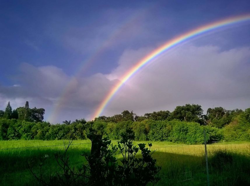 Maui: Private Guided Round-Trip Excursion to Hana - Practical Considerations and Tips
