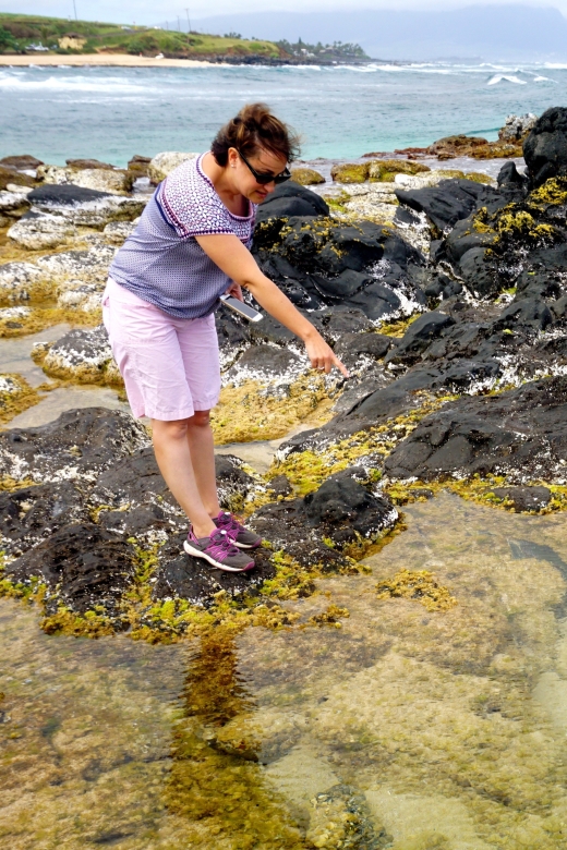 Maui: Private Guided Round-Trip Excursion to Hana - FAQ