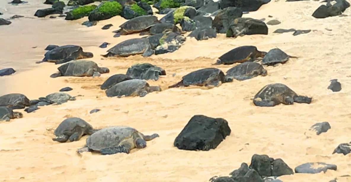 Maui: Private Halfway to Hana Tour - Key Points