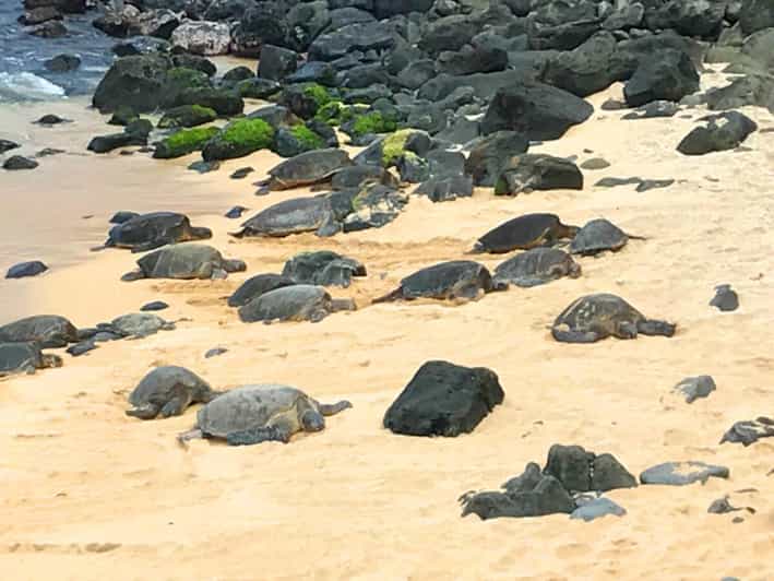 Maui: Private Halfway to Hana Tour - Exploring the Itinerary