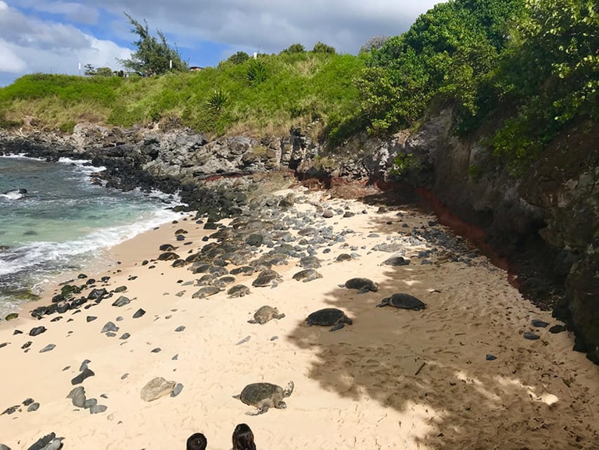 Maui: Private Halfway to Hana Tour - FAQs