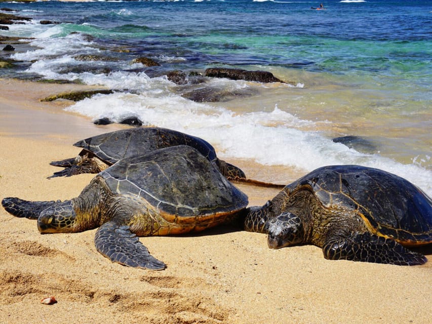 Maui: Private Island Tour with Meals & Snorkeling - FAQ