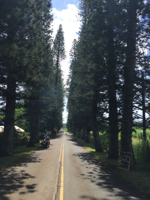 Maui : Private : Road to Hana Day Trip : Just For Your Group - Key Points