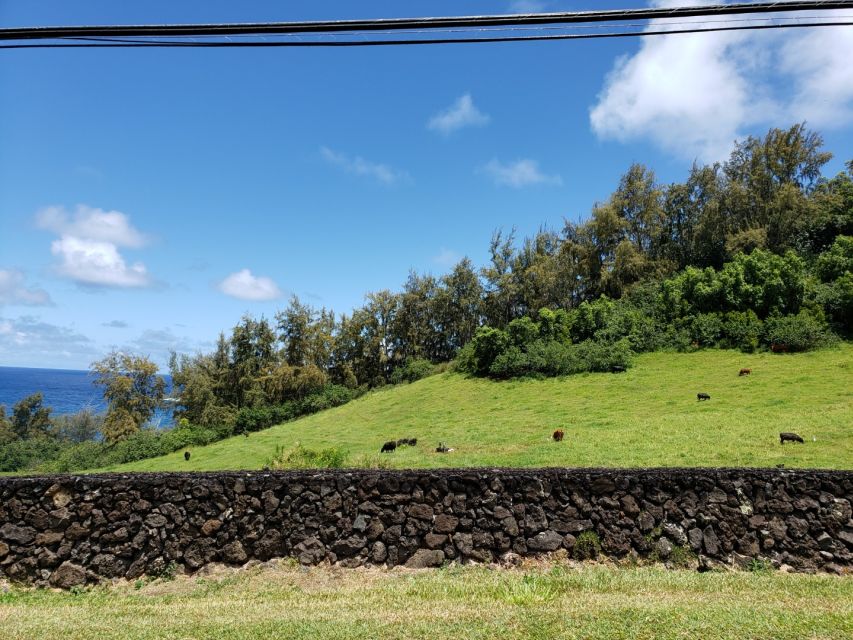 Maui : Private : Road to Hana Day Trip : Just For Your Group - Who Should Consider This Tour?