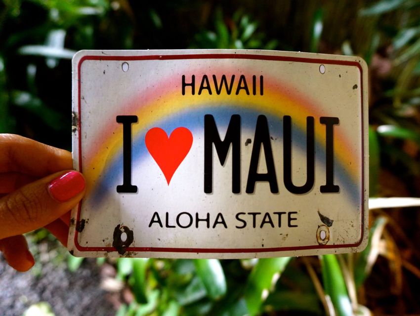 Maui: Private Road to Hana Full Loop Guided Tour - Who Will Love This Tour?