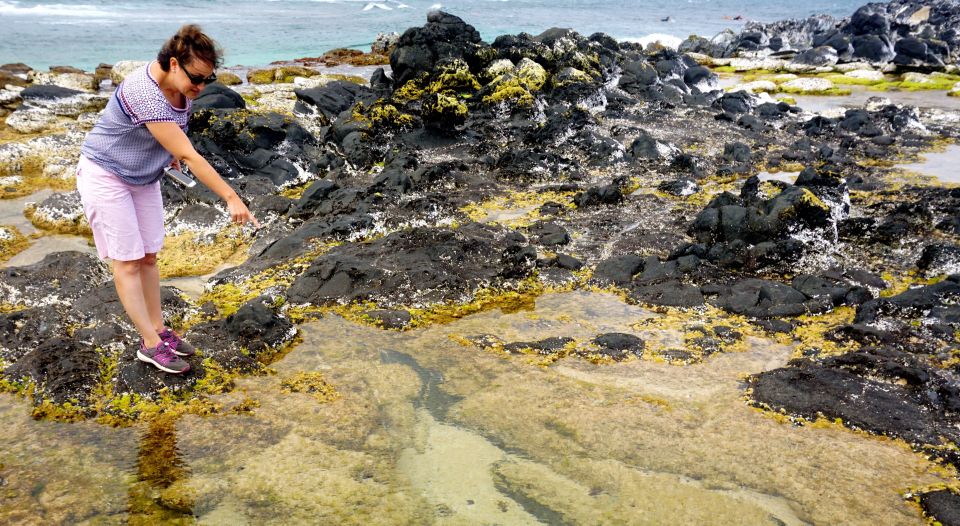 Maui: Private Road to Hana Full Loop Guided Tour - The Sum Up