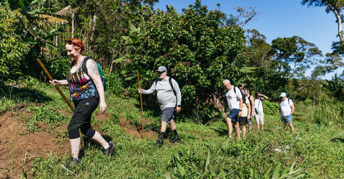 Maui: Rainforest Waterfalls Guided Hike with Picnic Lunch - Key Points