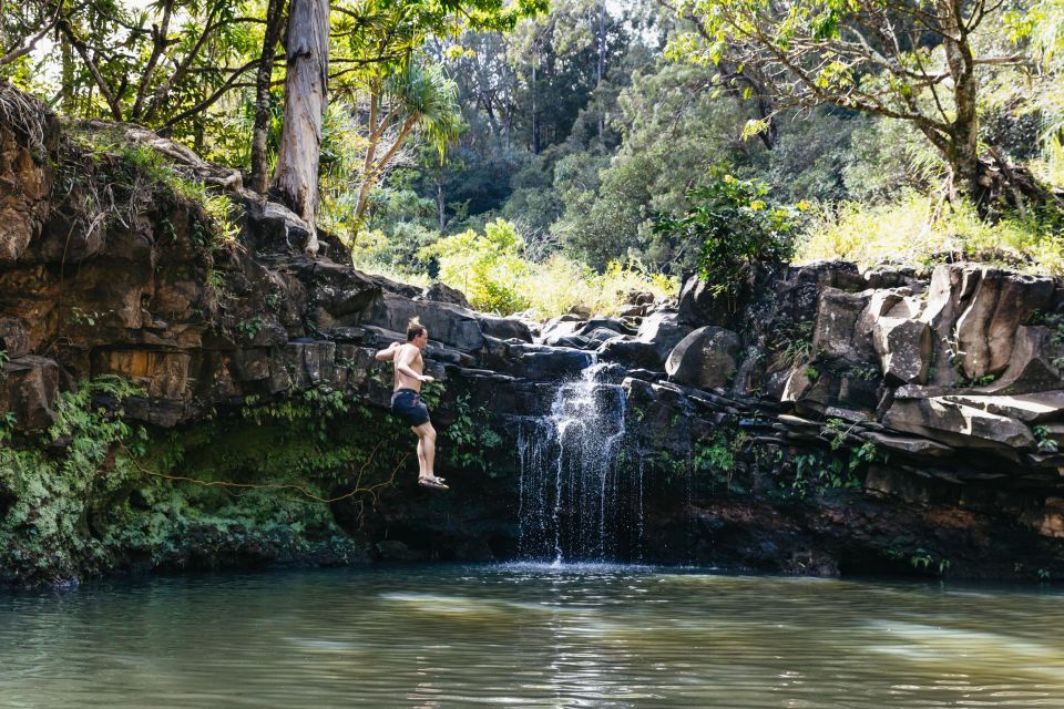 Maui: Rainforest Waterfalls Guided Hike with Picnic Lunch - How the Experience Adds Value