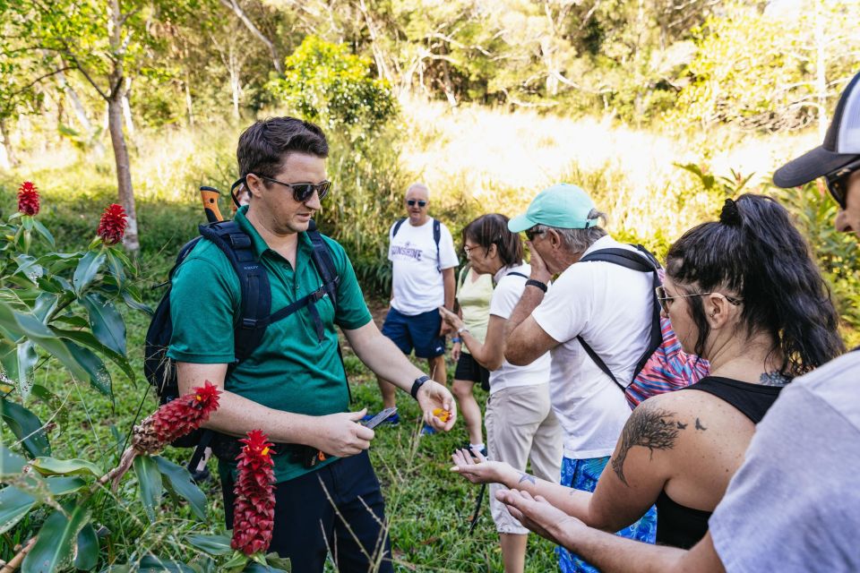 Maui: Rainforest Waterfalls Guided Hike with Picnic Lunch - The Experience’s Drawbacks and Considerations