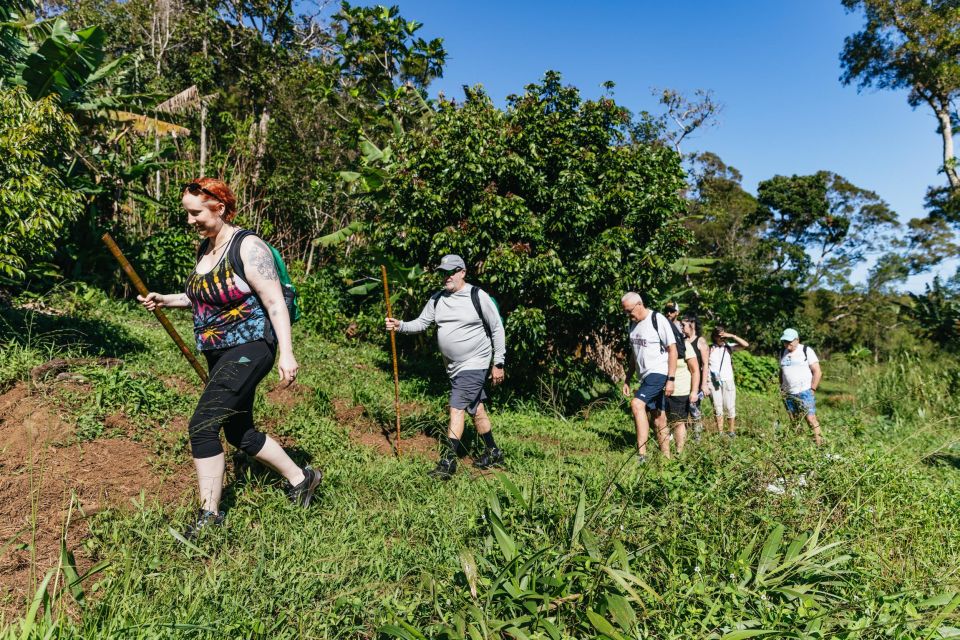 Maui: Rainforest Waterfalls Guided Hike with Picnic Lunch - Who Will Love This Tour?