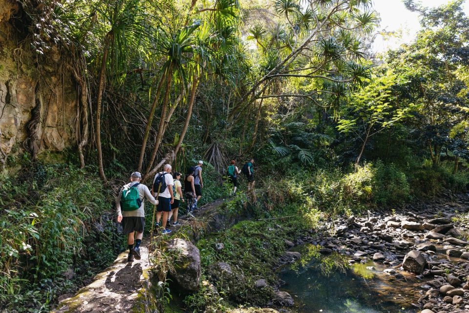 Maui: Rainforest Waterfalls Guided Hike with Picnic Lunch - Final Thoughts