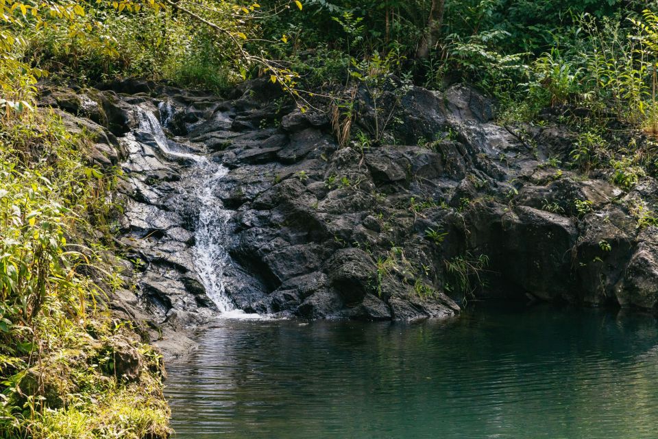 Maui: Rainforest Waterfalls Guided Hike with Picnic Lunch - FAQ