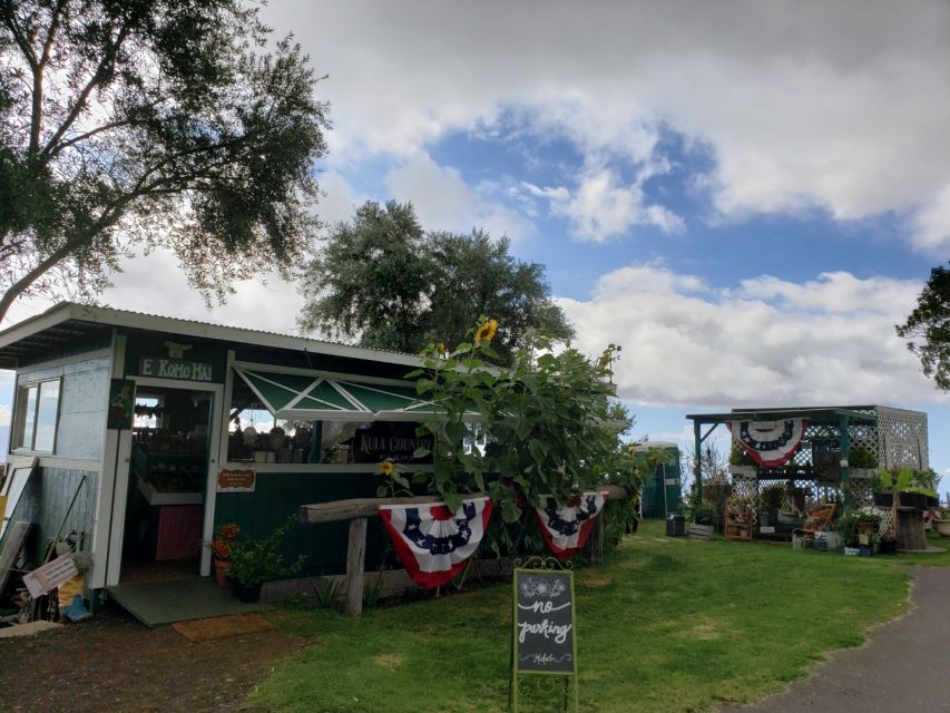Maui: Road to Hana Adventure with Breakfast & Lunch - The Possible Drawbacks