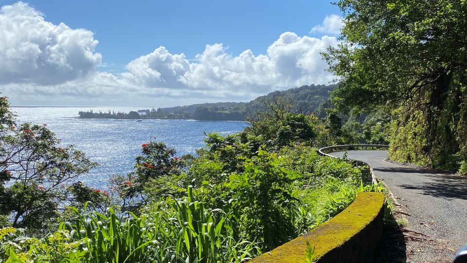 Maui: Road to Hana Private Adventure Tour with Luxury SUV - Who Will Love This Tour?