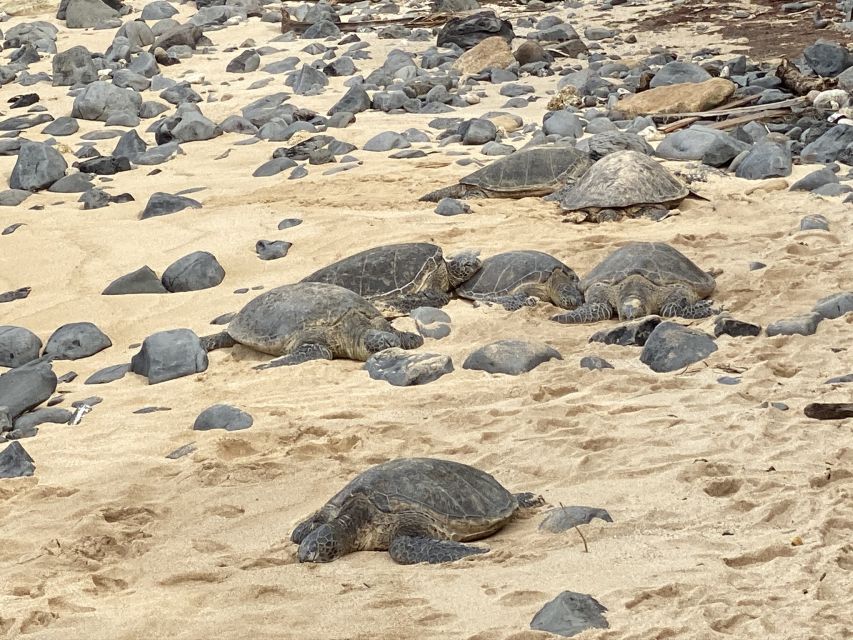 Maui: Road to Hana Private Adventure Tour with Luxury SUV - Frequently Asked Questions