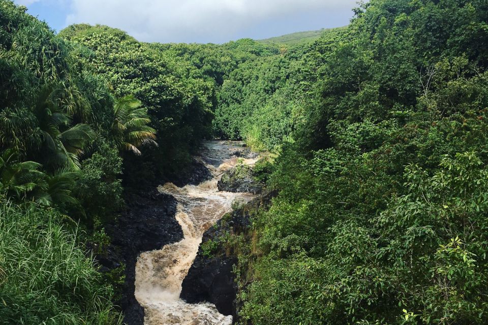 Maui: Road to Hana Sightseeing Tour - Final Thoughts
