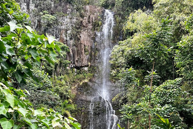 Maui Road to Hana VIP Private Tour in Convertible Bronco - Why Choose the Maui Road to Hana VIP Private Tour?