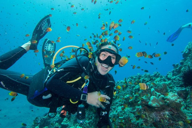Maui Scuba Diving Introductory Lesson from Lahaina - Overview of the Maui Scuba Diving Introductory Lesson