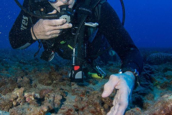 Maui Scuba Diving Introductory Lesson from Lahaina - What to Expect During the Experience