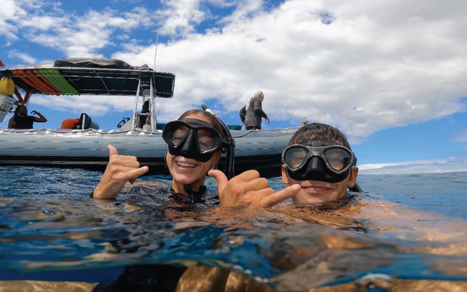 Maui: Semi-Private 3 Hour Eco-Raft Turtle Snorkel Tour - Key Points