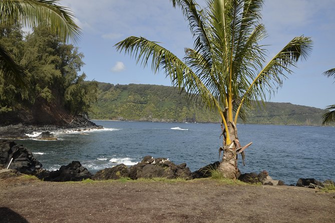 Maui Shore Excursion : Road to Hana Day Trip P/up Ka'anapali - Waterfalls Galore: From Top to Bottom