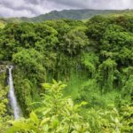 Maui: Small-Group Road to Hna Sightseeing Tour - Transportation and Comfort