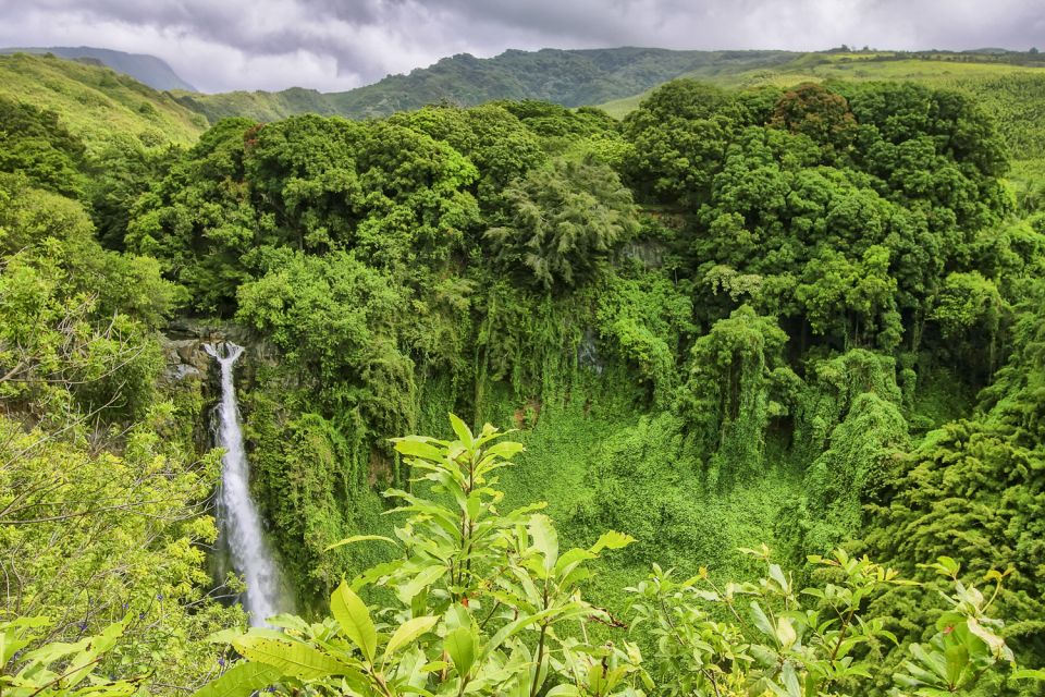 Maui: Small-Group Road to Hna Sightseeing Tour - Transportation and Comfort