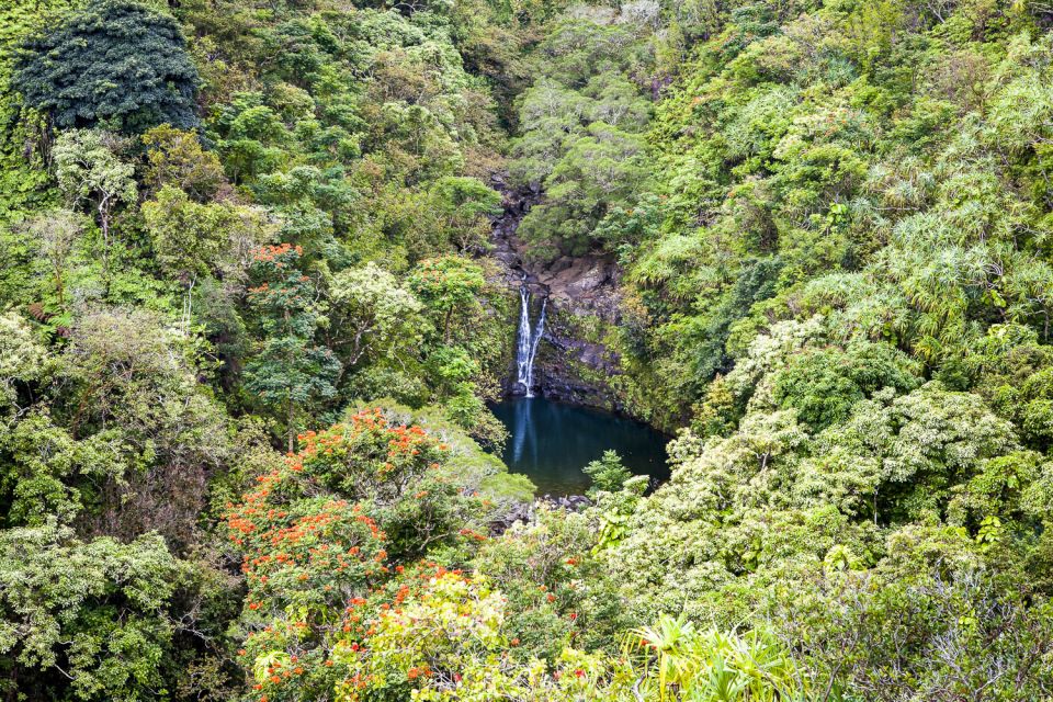 Maui: Small-Group Road to Hna Sightseeing Tour - Who Will Love This Tour?