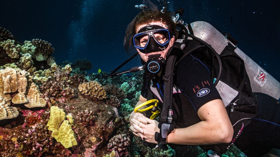 Maui: Small Group Shark & Turtle Scuba Dive from Shore - FAQs