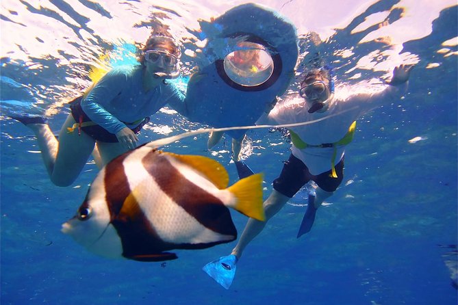 Maui Snorkeling Boat Tour to Turtle Town Aboard Quicksilver - Maui Snorkeling Boat Tour to Turtle Town Aboard Quicksilver: An Authentic Underwater Adventure