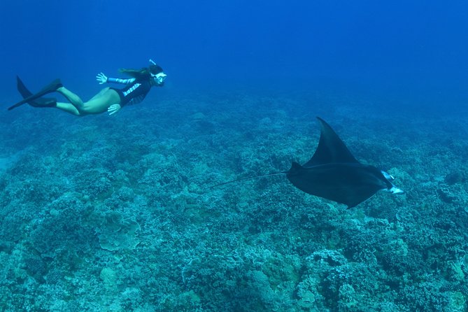 Maui Snorkeling Boat Tour to Turtle Town Aboard Quicksilver - Final Thoughts