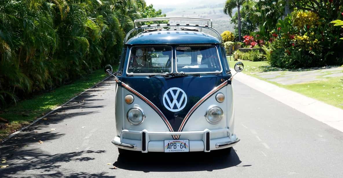 Maui: South Maui VW Bus Tour with Brewery Lunch - Who Would Enjoy This Tour?
